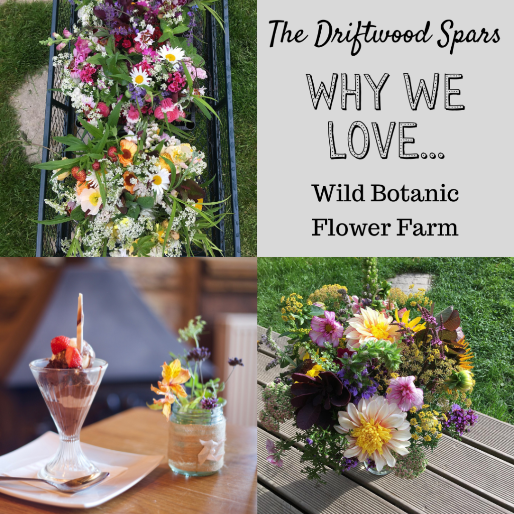 Why We Love… Wild Botanic Flower Farm - The Driftwood Spars St Agnes